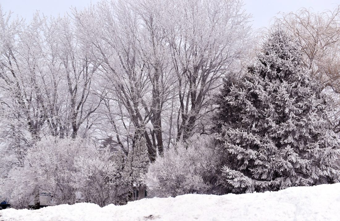 Blizzard warning in effect | News, Sports, Jobs - The Freeman Journal